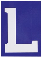 Carpoint Sticker L bij Automat