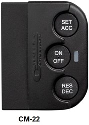 Cruise control bij Automat